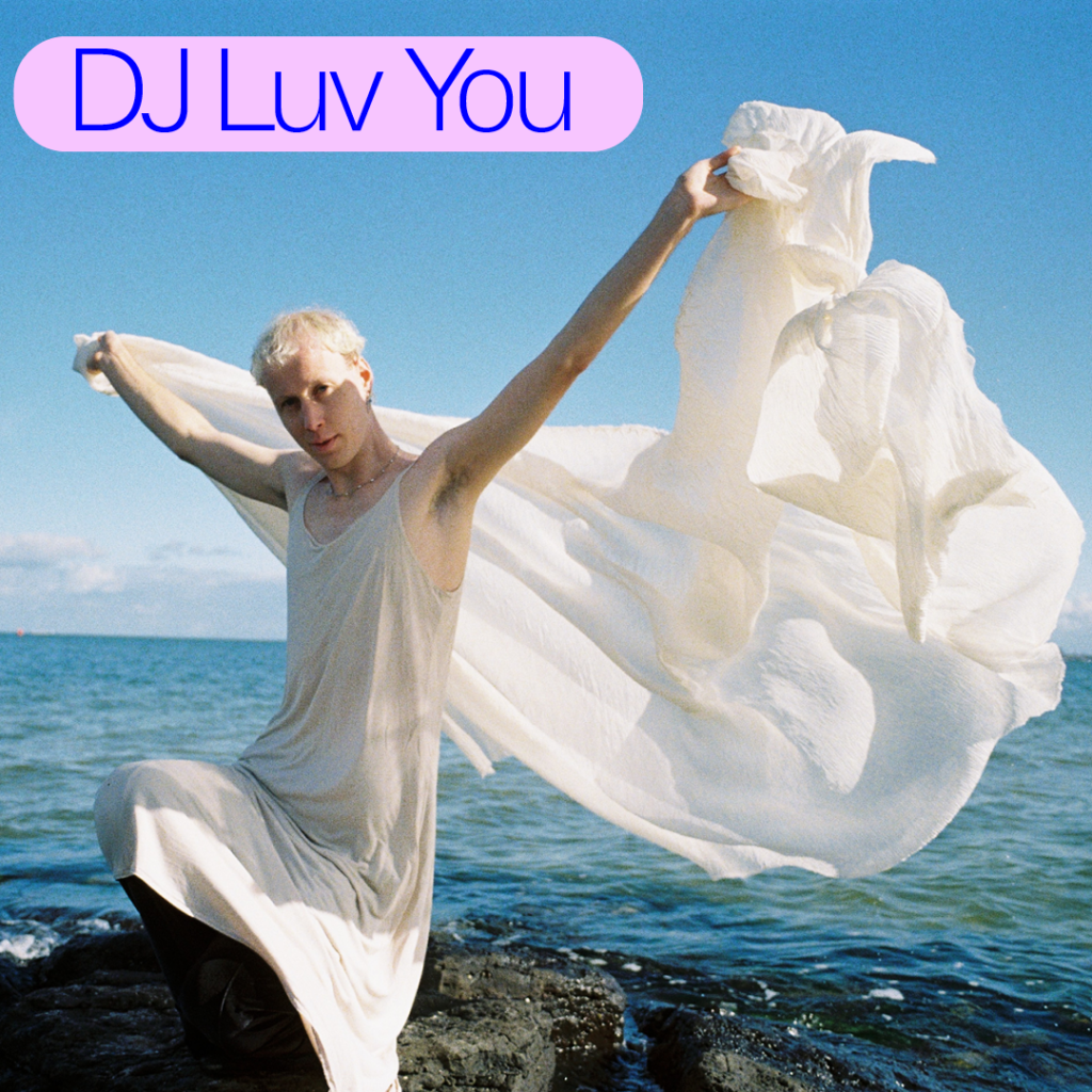 DJ LUV YOU - VOGELBALL